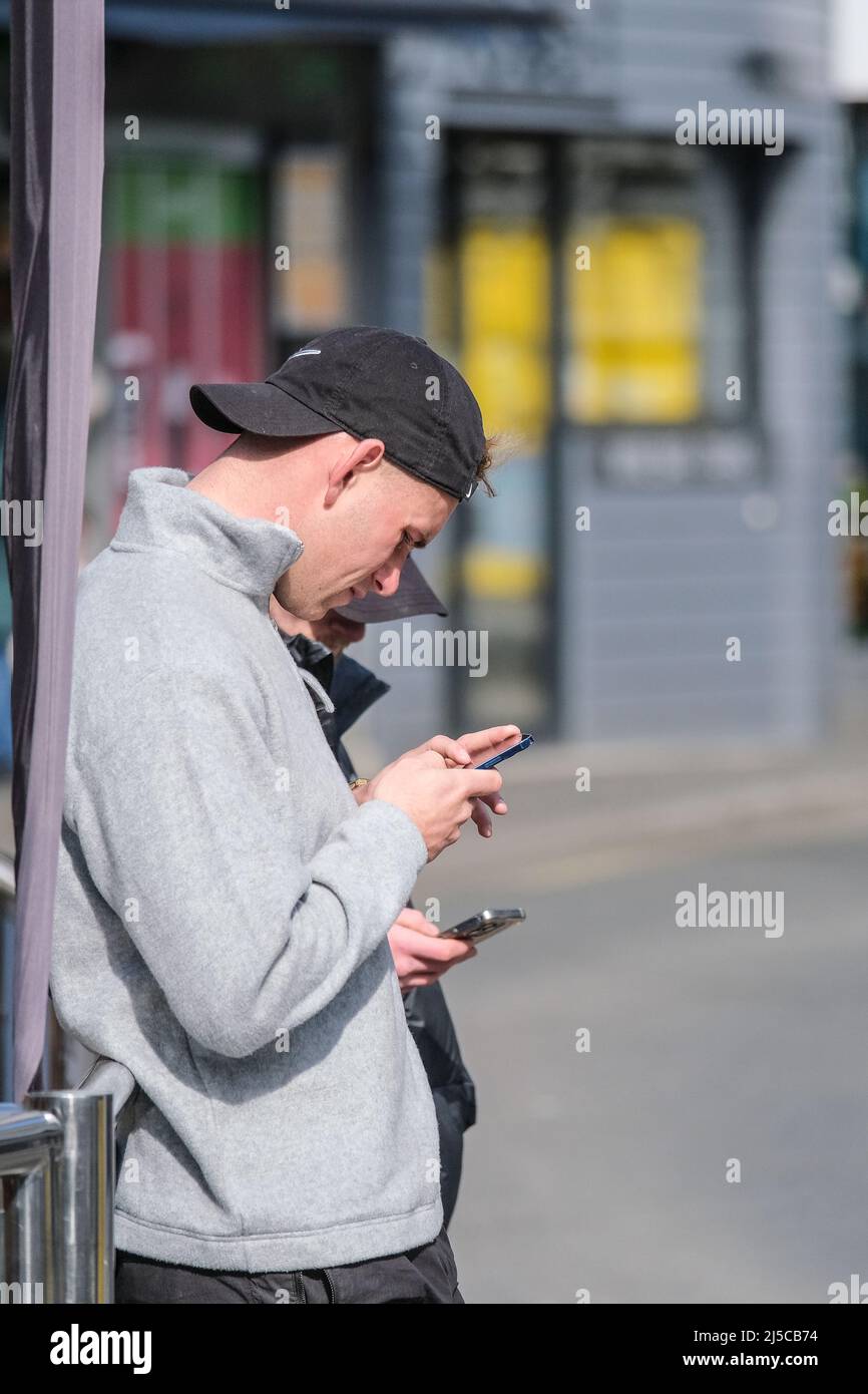 Men checking their mobile phones Stock Photo - Alamy