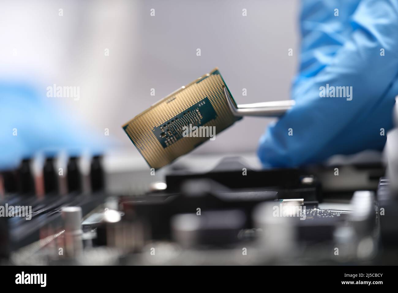 Engineer is holding microprocessor tweezers from motherboard Stock ...