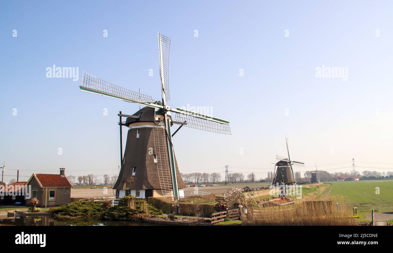 Windmill as working dry pumping of the Tweemanspolder, System named ...