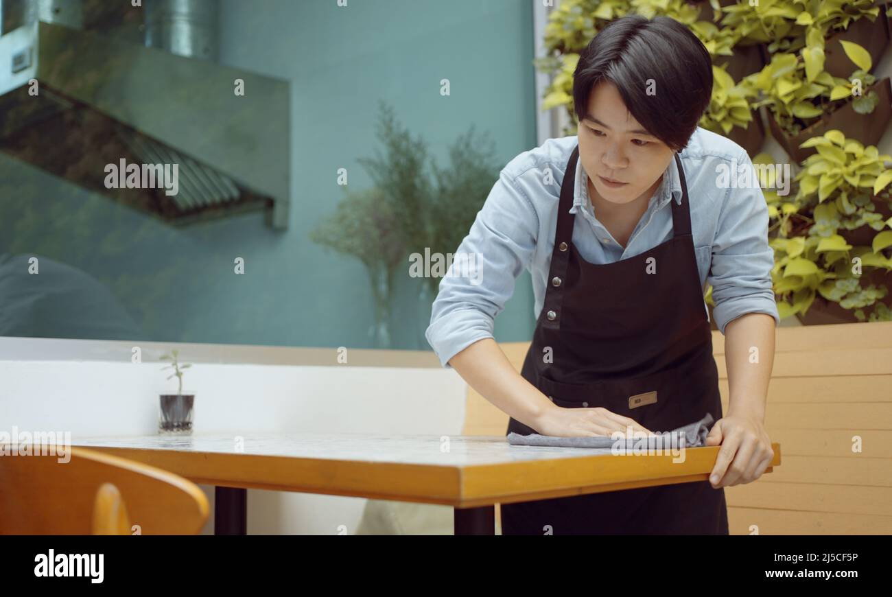 A female restaurant employee or young entrepreneur wipes the dining ...