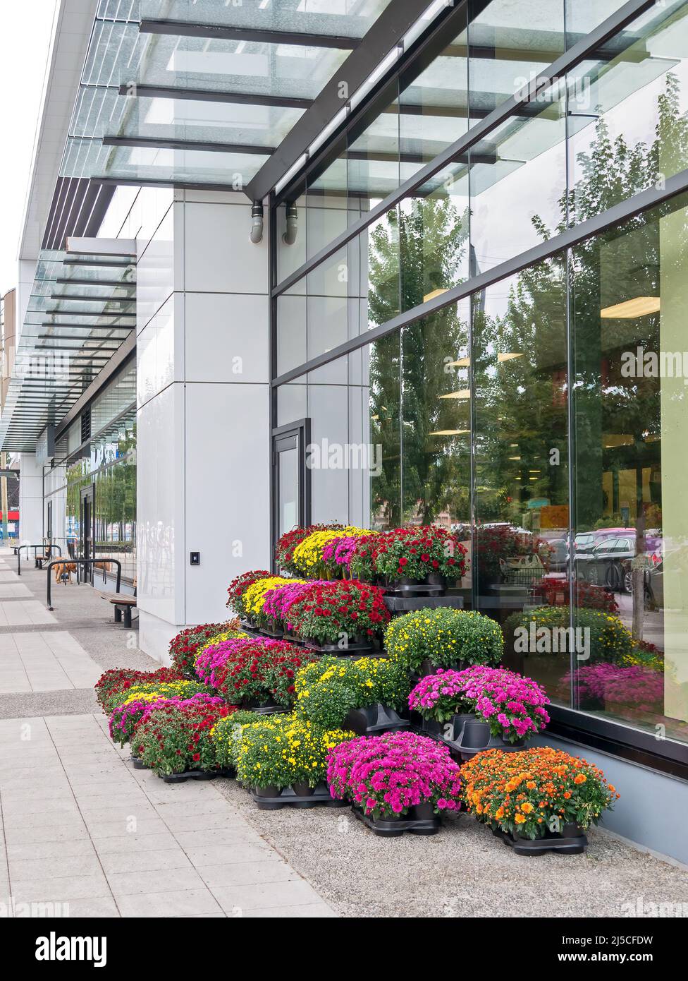 Flower stand on a street at the shop window Stock Photo - Alamy