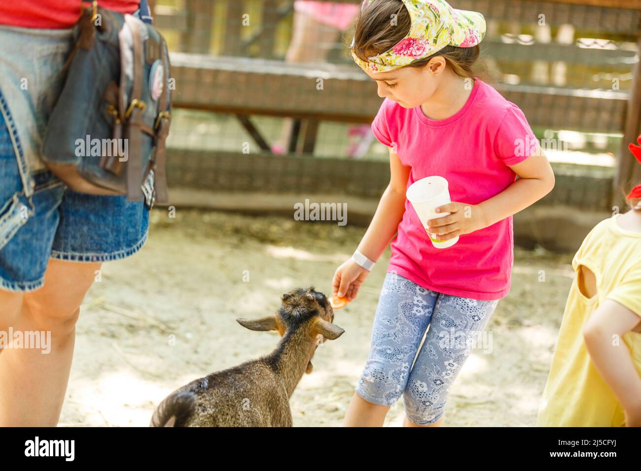 cute little kid feeding a goat at farm Stock Photo - Alamy