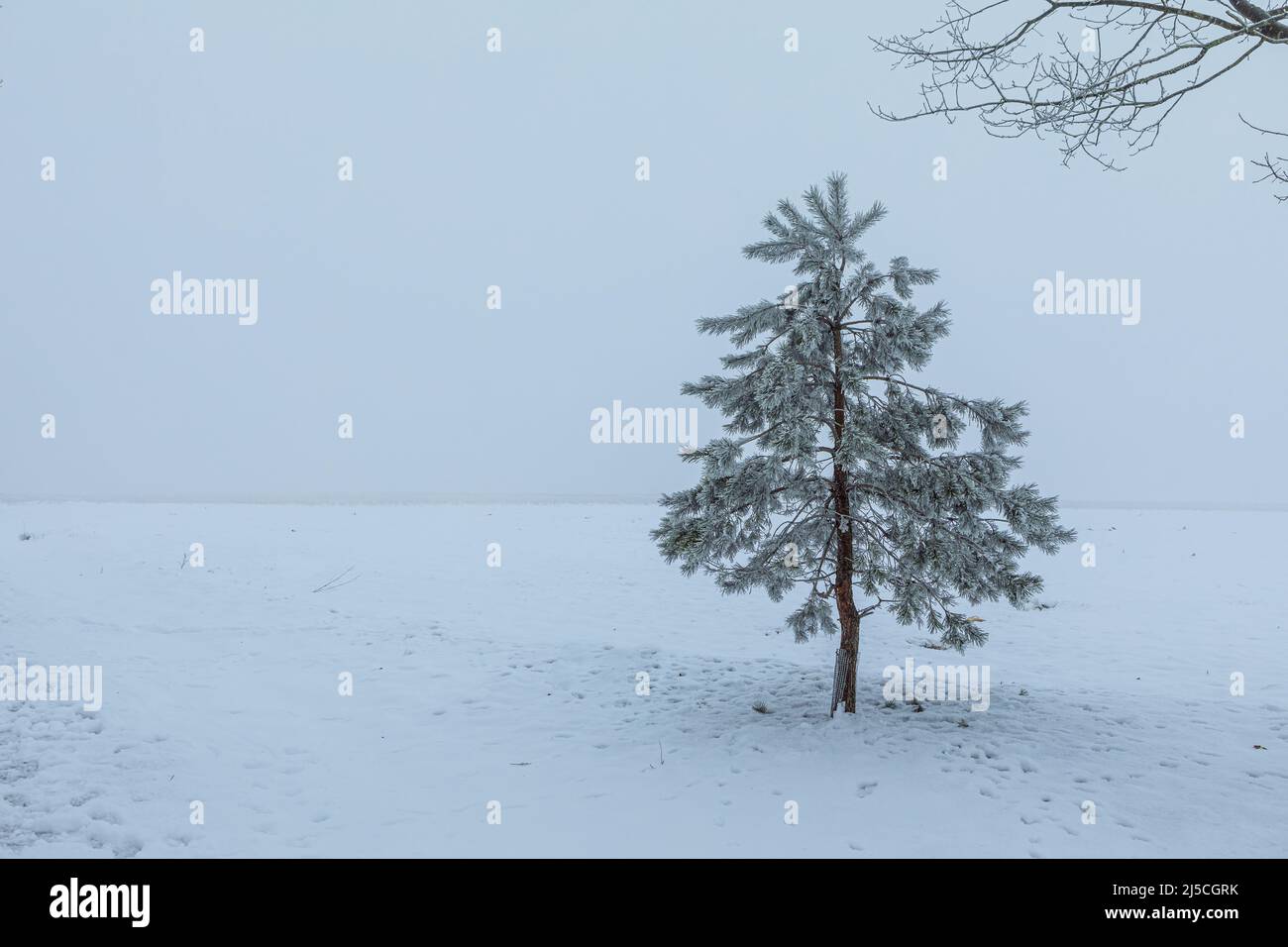 Diffuse light hi-res stock photography and images - Alamy