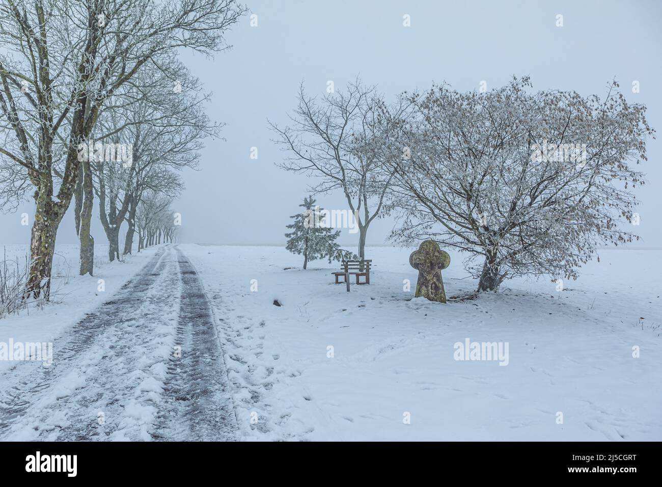 Wintry landscape at diffuse light in Germany Stock Photo - Alamy