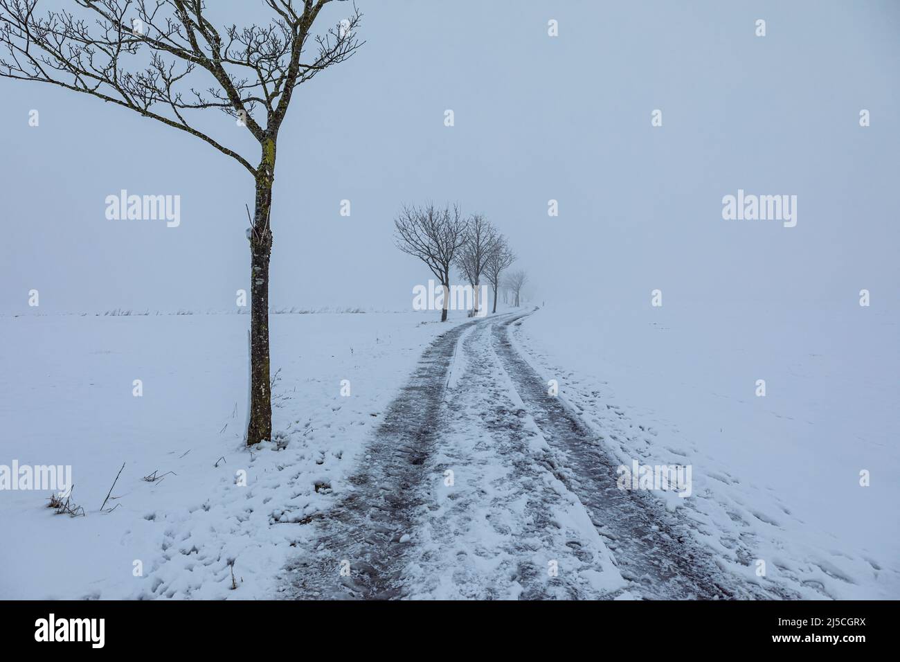 Diffuse light hi-res stock photography and images - Alamy