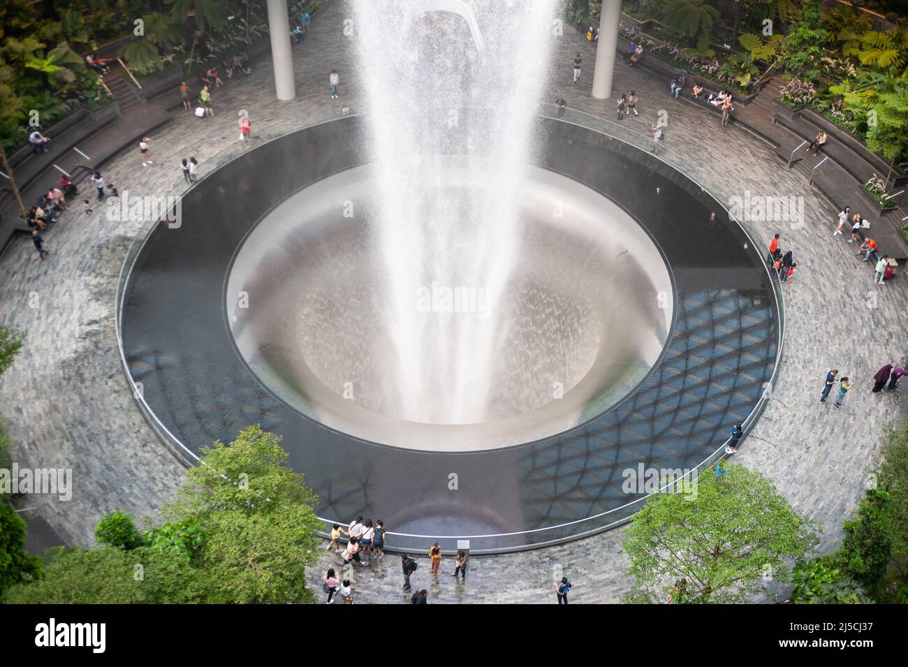 03/18/2020, Singapore, Republic of Singapore, Asia - Forest Valley with ...