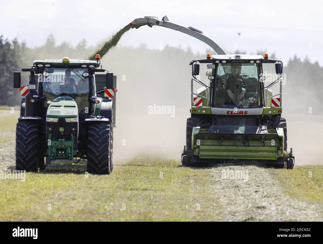 Muencheberg, DEU, 02.06.2020 - Forage harvest at the Jahnsfeld organic ...