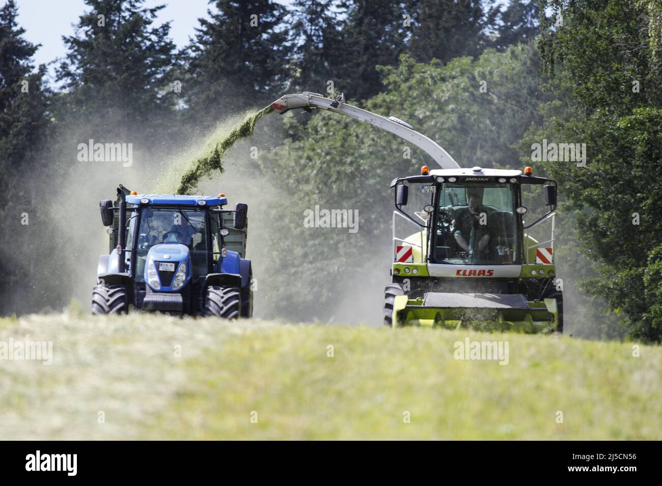 Muencheberg, DEU, 02.06.2020 - Forage harvest at the Jahnsfeld organic ...