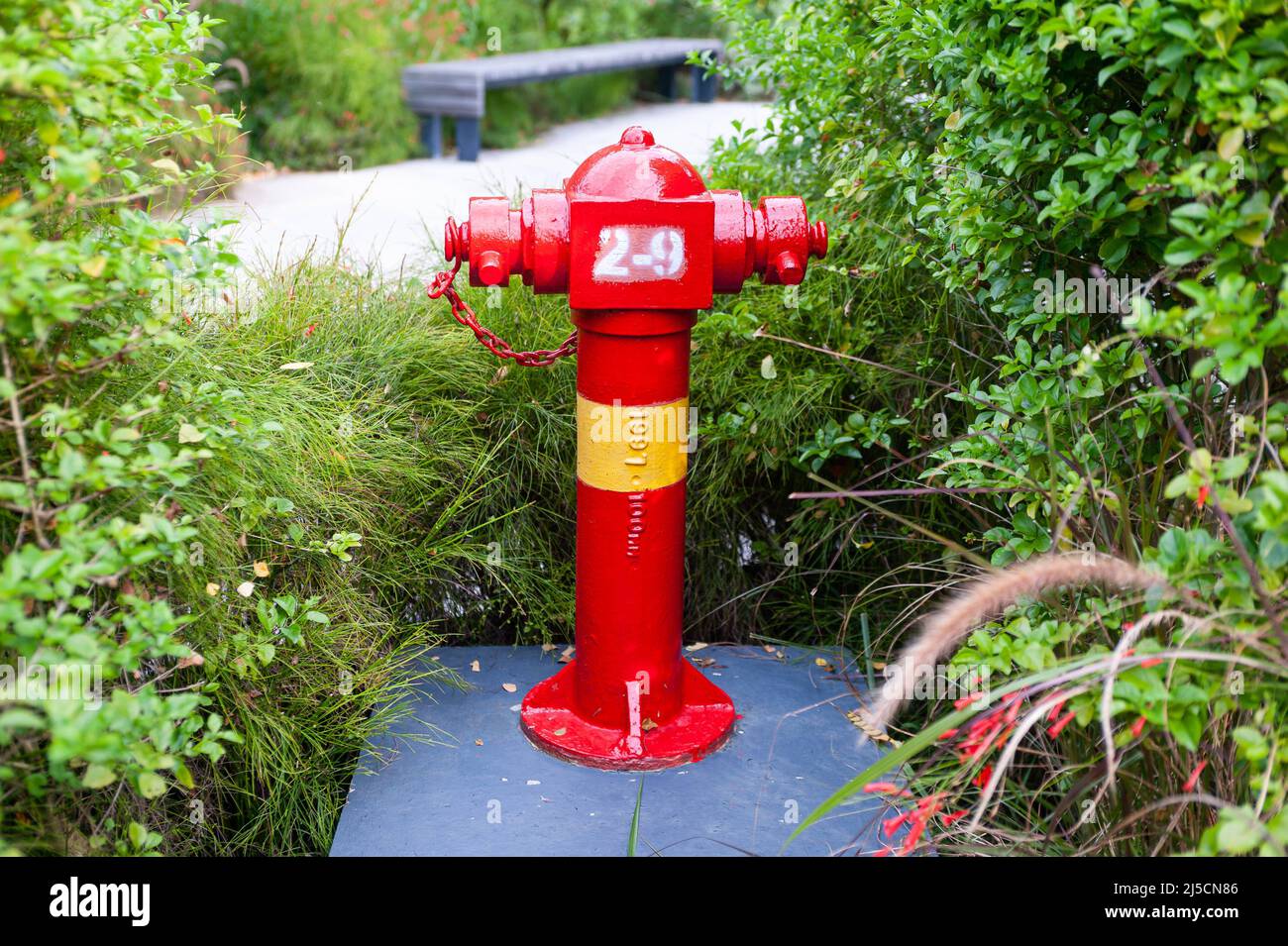 Fire hydrant in plants hi-res stock photography and images - Alamy