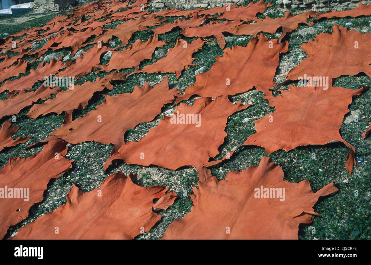 14.11.2010, Fes, Morocco, Africa - Tanned and dyed animal hides lie to ...