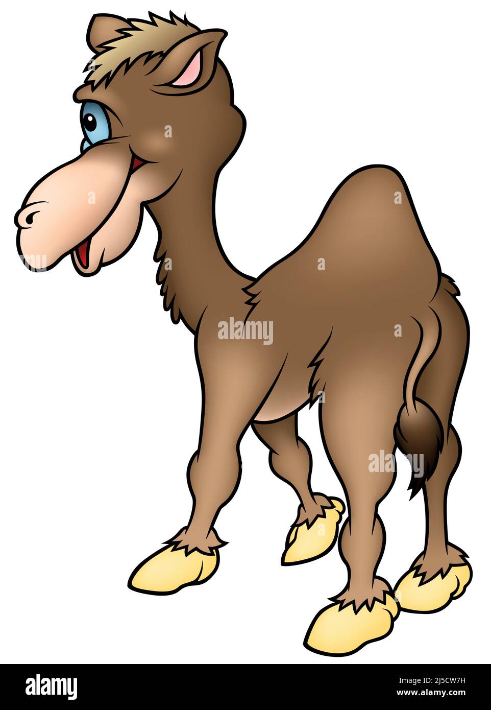 Standing Brown Camel Stock Vector Image & Art - Alamy