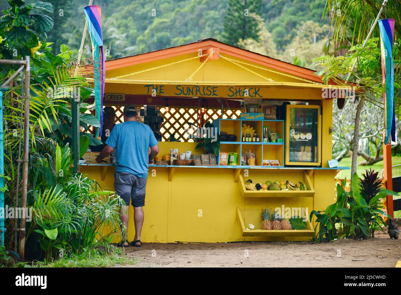 Tropical hut oahu hawaii hi-res stock photography and images - Alamy
