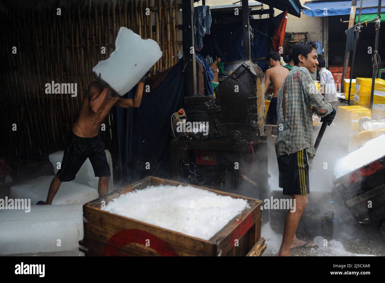 Fish frozen in ice block hi-res stock photography and images - Alamy