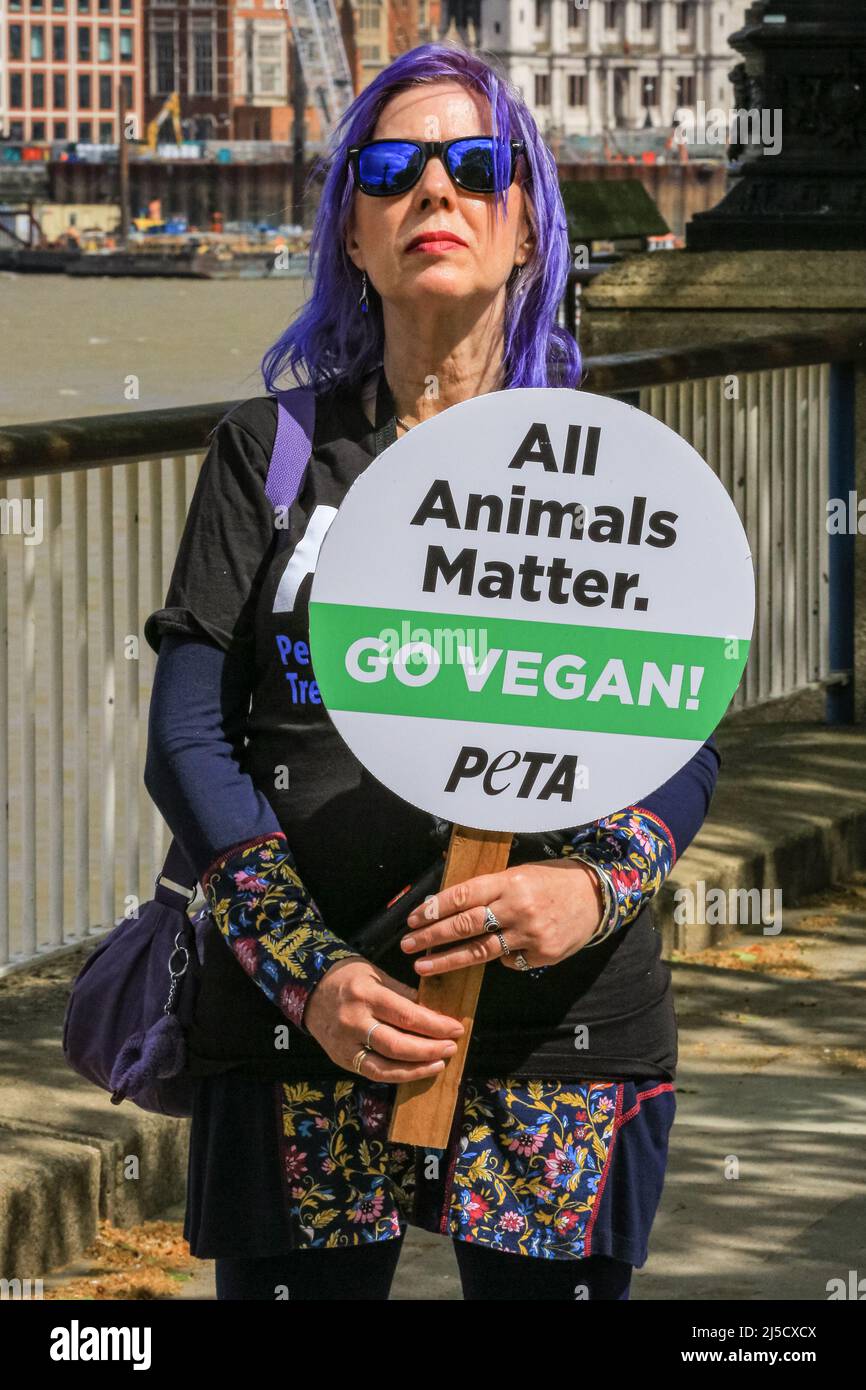 London, UK. 22nd Apr, 2022. A PETA supporter dressed as a chef ...