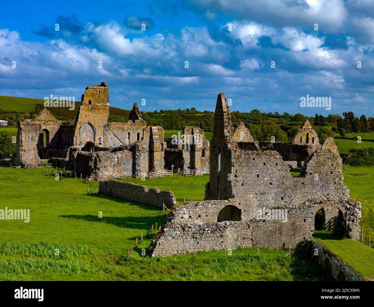 Athassel abbey golden hi-res stock photography and images - Alamy