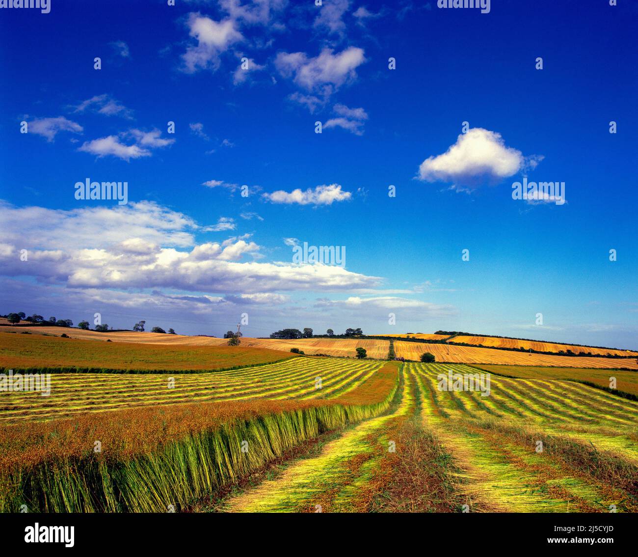 Seaforde hi-res stock photography and images - Alamy