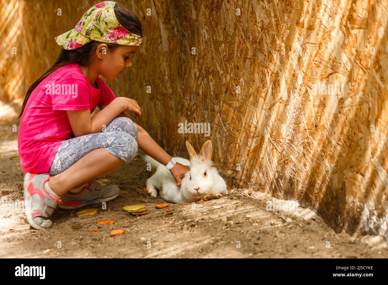cute little kid feeding a rabbit at farm Stock Photo - Alamy