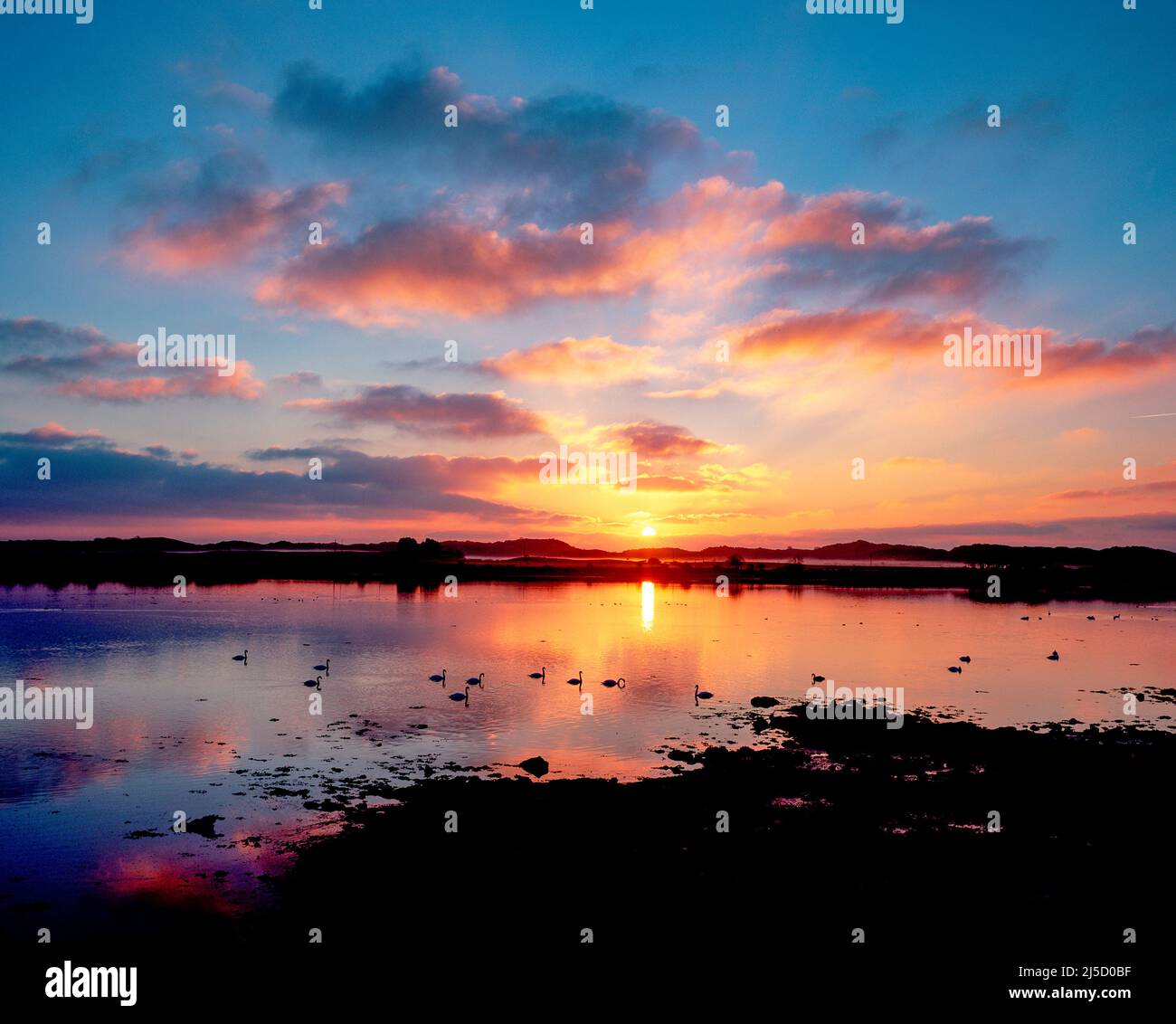 Sunrise at Dundrum Bay, County Down, Northern Ireland Stock Photo - Alamy