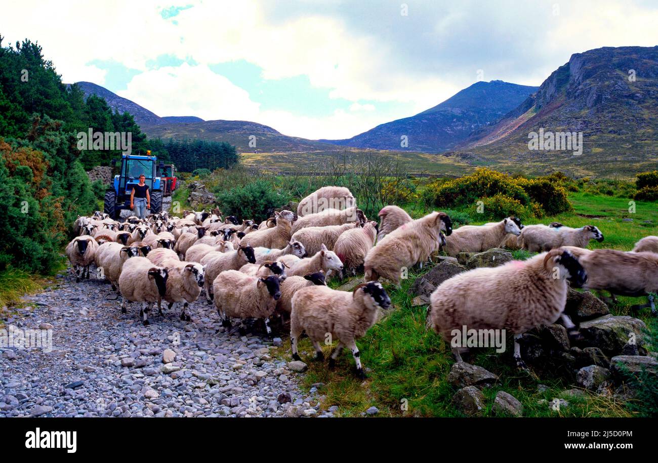 Trassey rd hi-res stock photography and images - Alamy