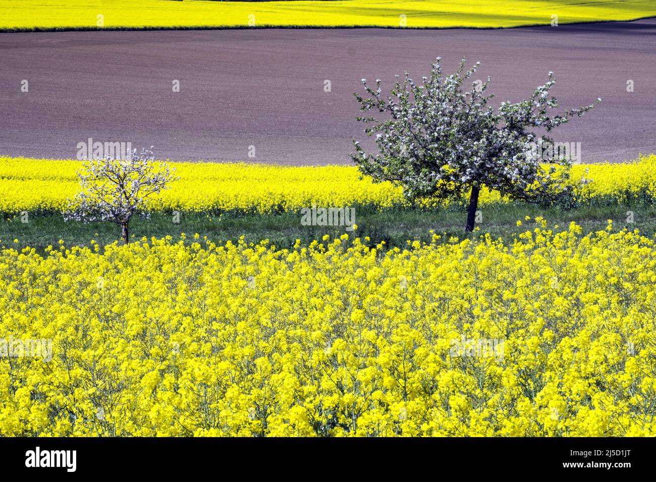Neinstedt hi-res stock photography and images - Alamy