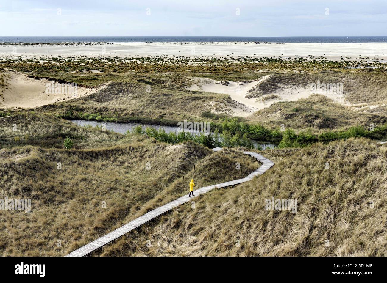 Amrum Island, Wittduen, 24.05.2021 - Woman with yellow rain jacket ...