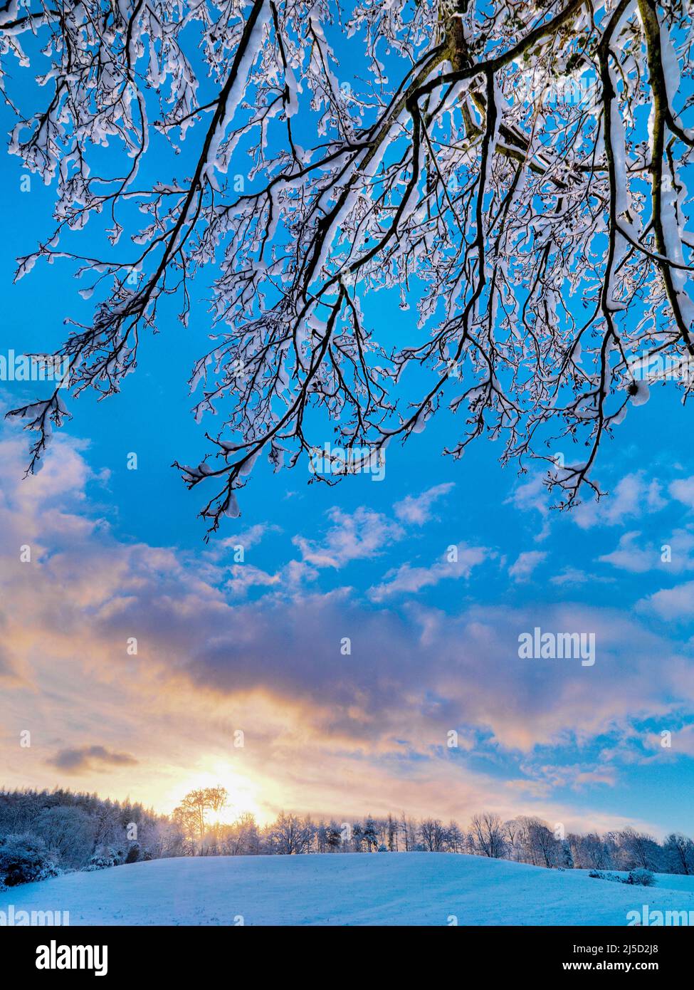 Snow covered fields in Lagan Valley Regional Park near the Minnowburn ...
