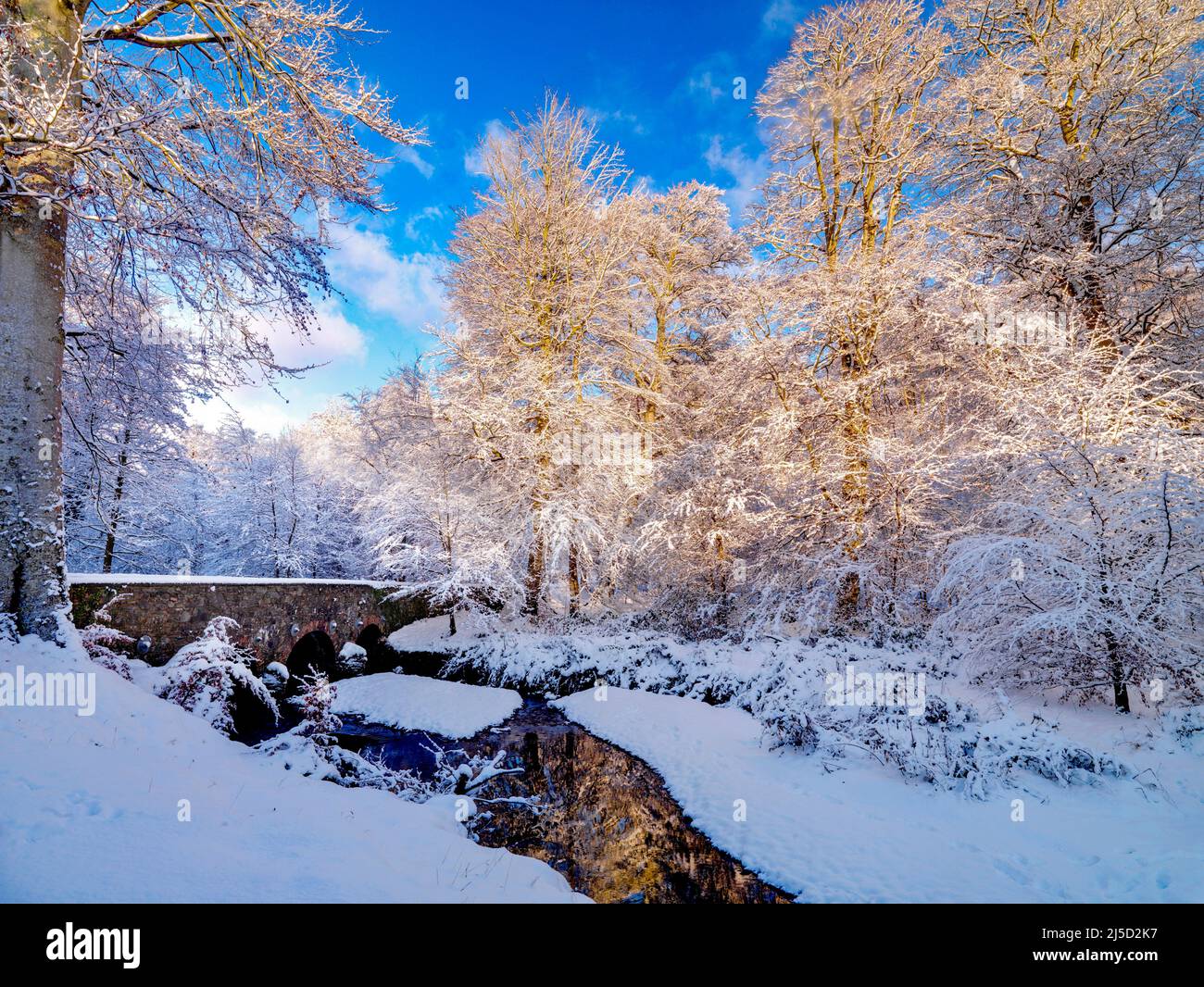 A heavy fall of snow at the Minnowburn,Lagan Valley Regional Park ...