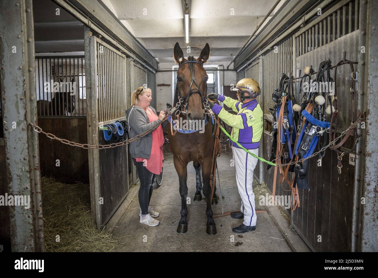 Austrian champion Gerhard Meier prepares his horse for the race ...