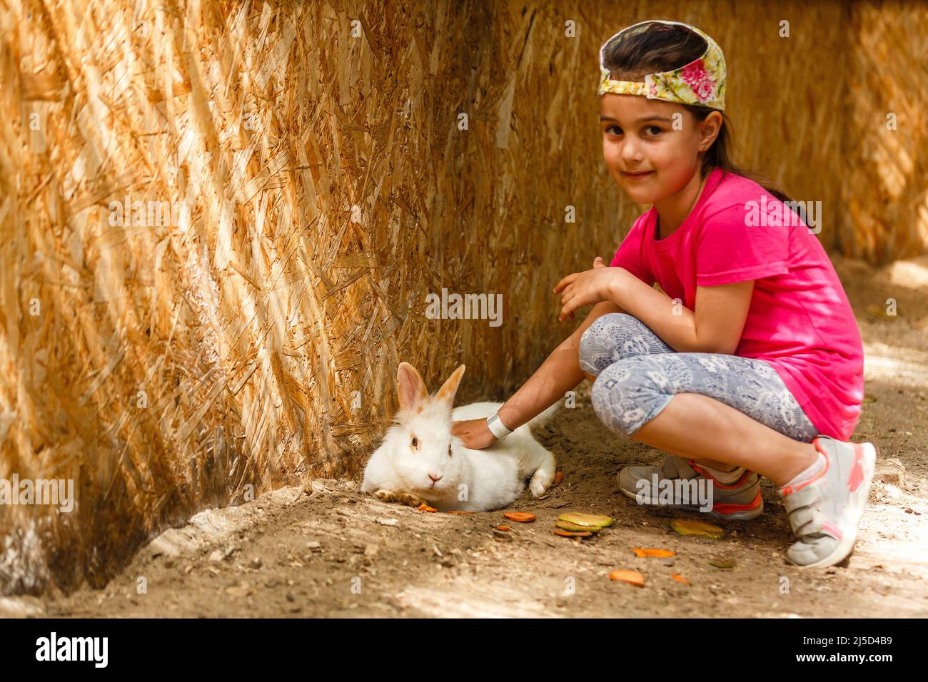 the child feeds rabbits in the petting zoo Stock Photo - Alamy
