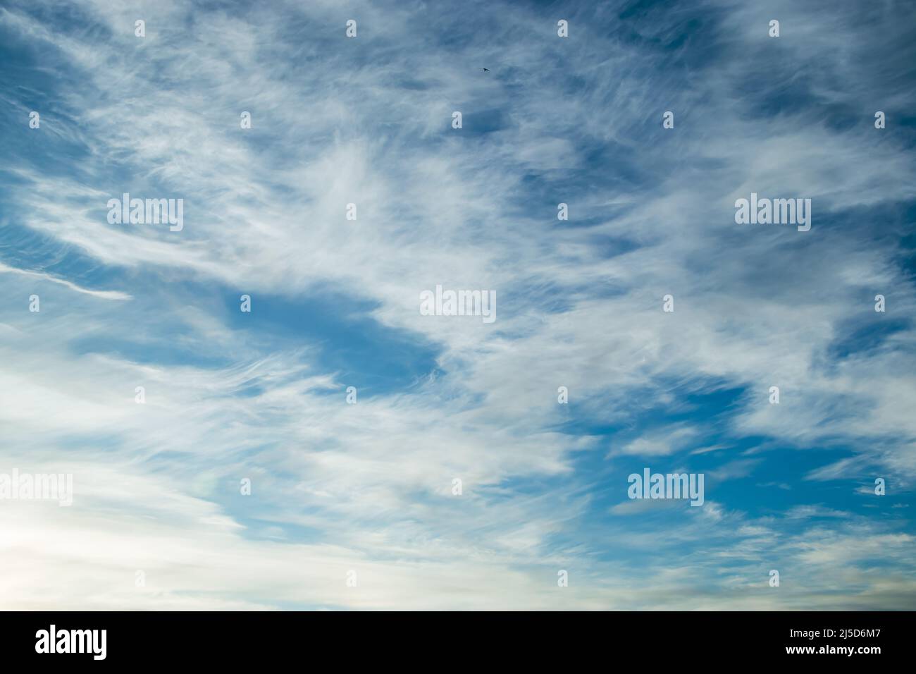 Blue sky background. Light cirrus clouds in rays of the sun on a summer ...