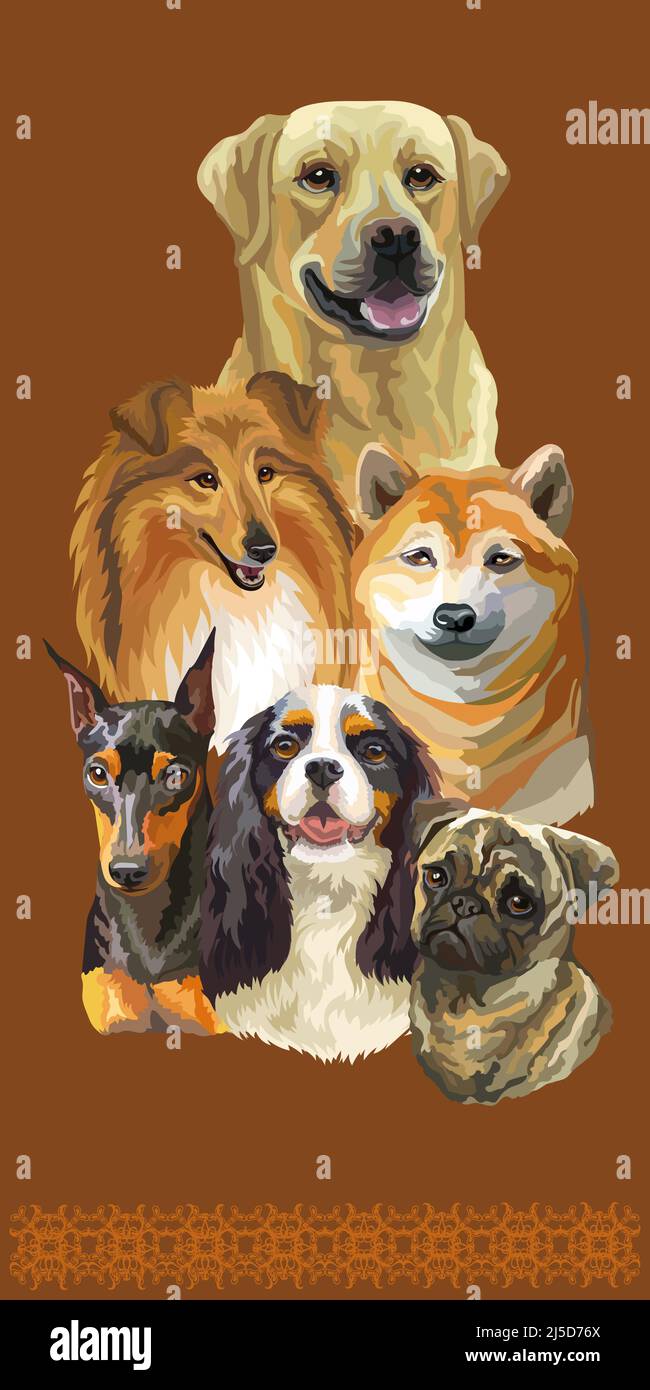 Set of colorful realistic vector portraits of different dogs breeds ...