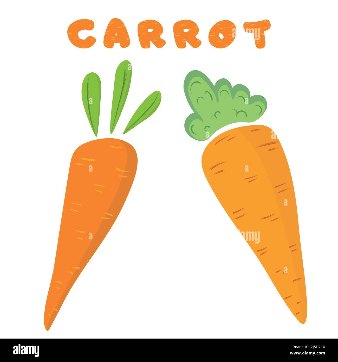 Carrot isolated on white. Hand drawn vector vegetable in cartoon style ...