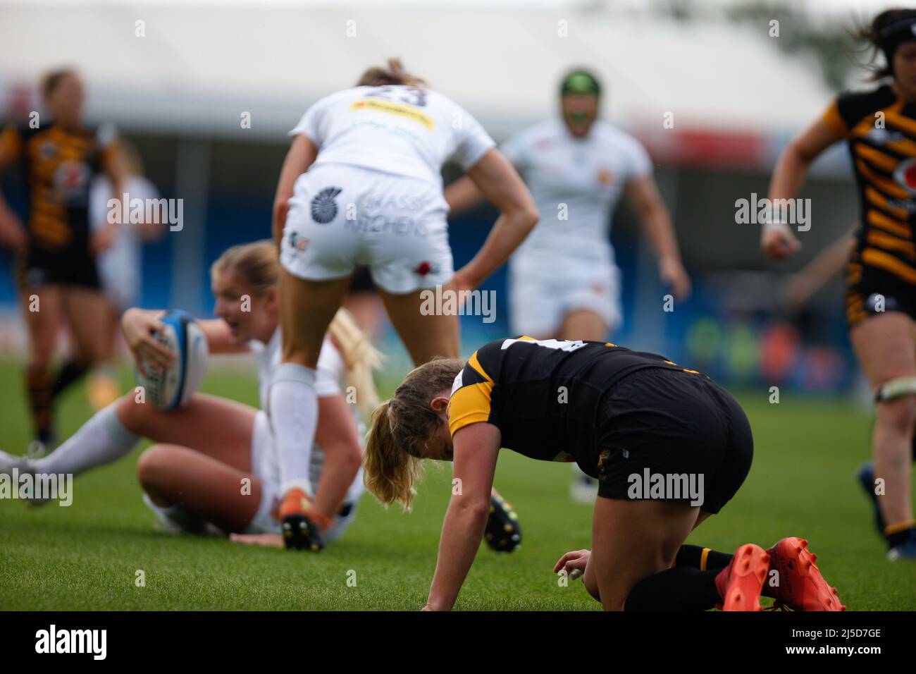 Exeter chief hi-res stock photography and images - Alamy