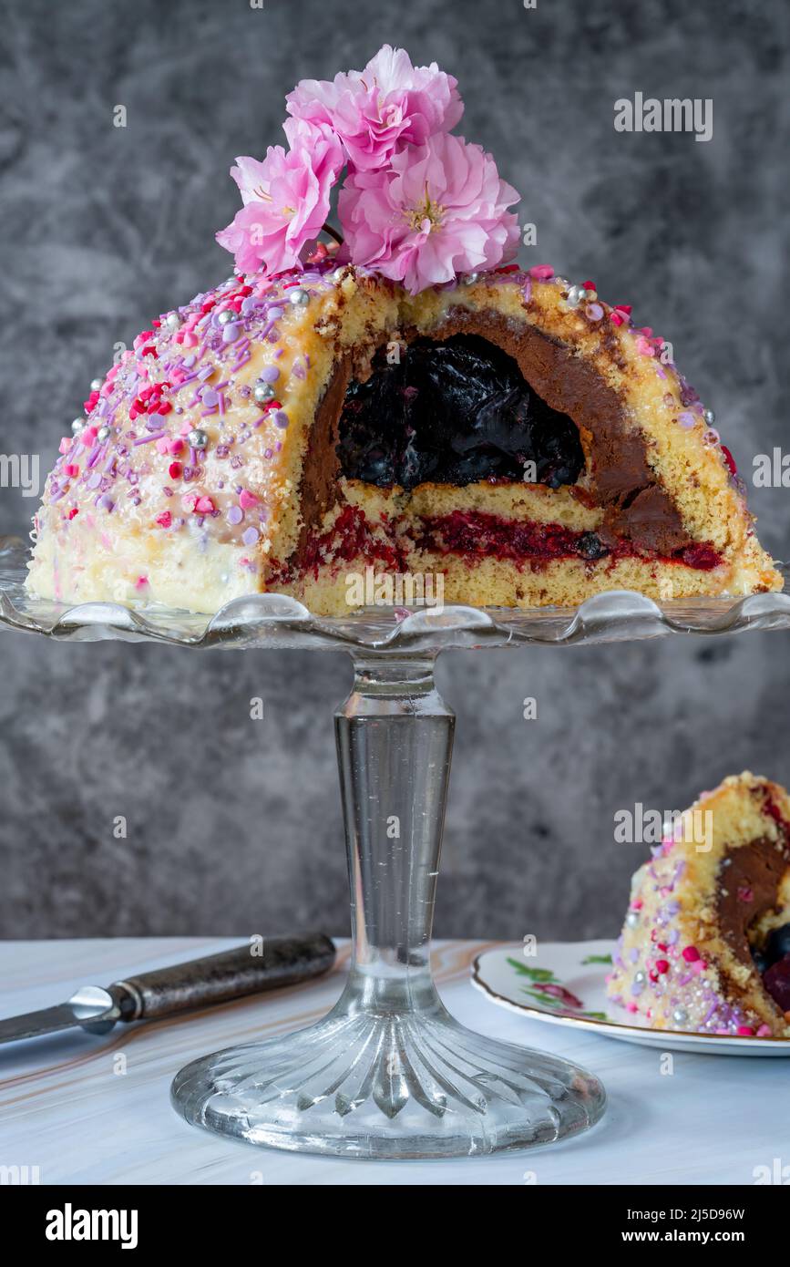 Dome cake - filled with fruity jelly, dark chocolate mousse and ...