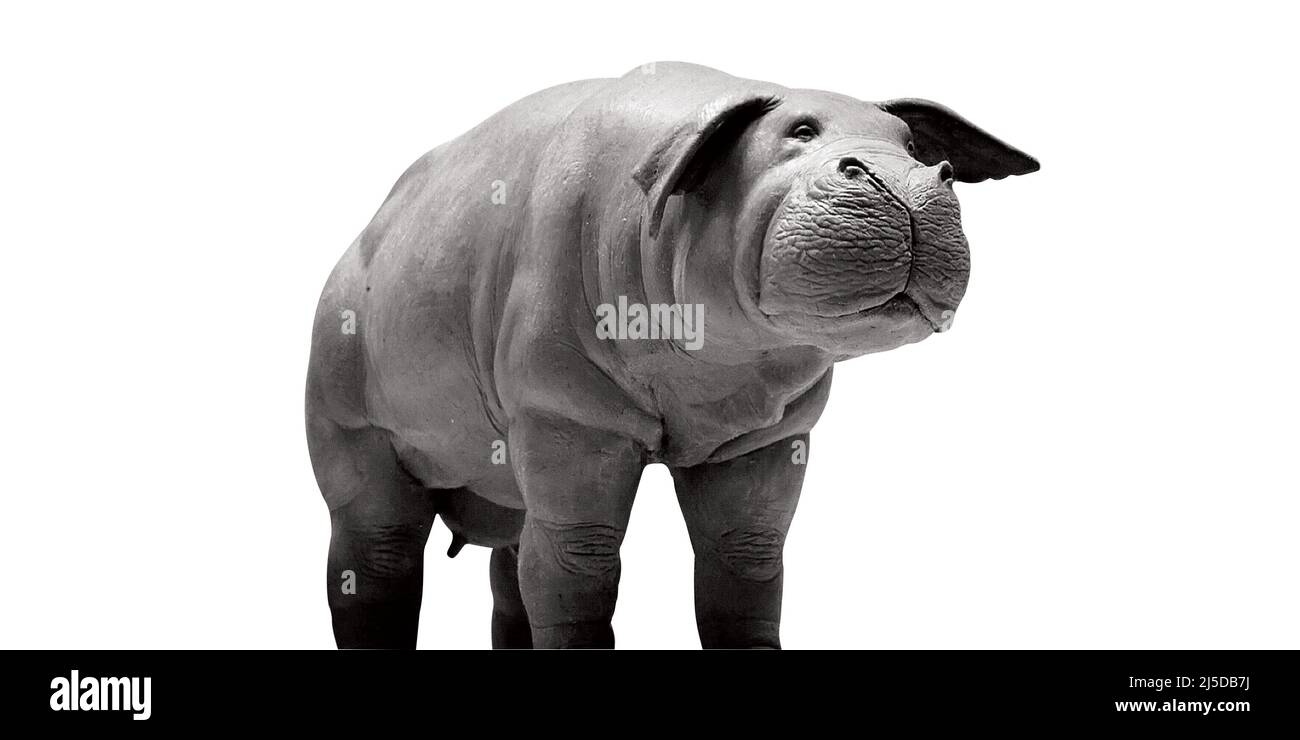 Okja Year : 2017 South Korea / USA Director : Bong Joon Ho Stock Photo ...