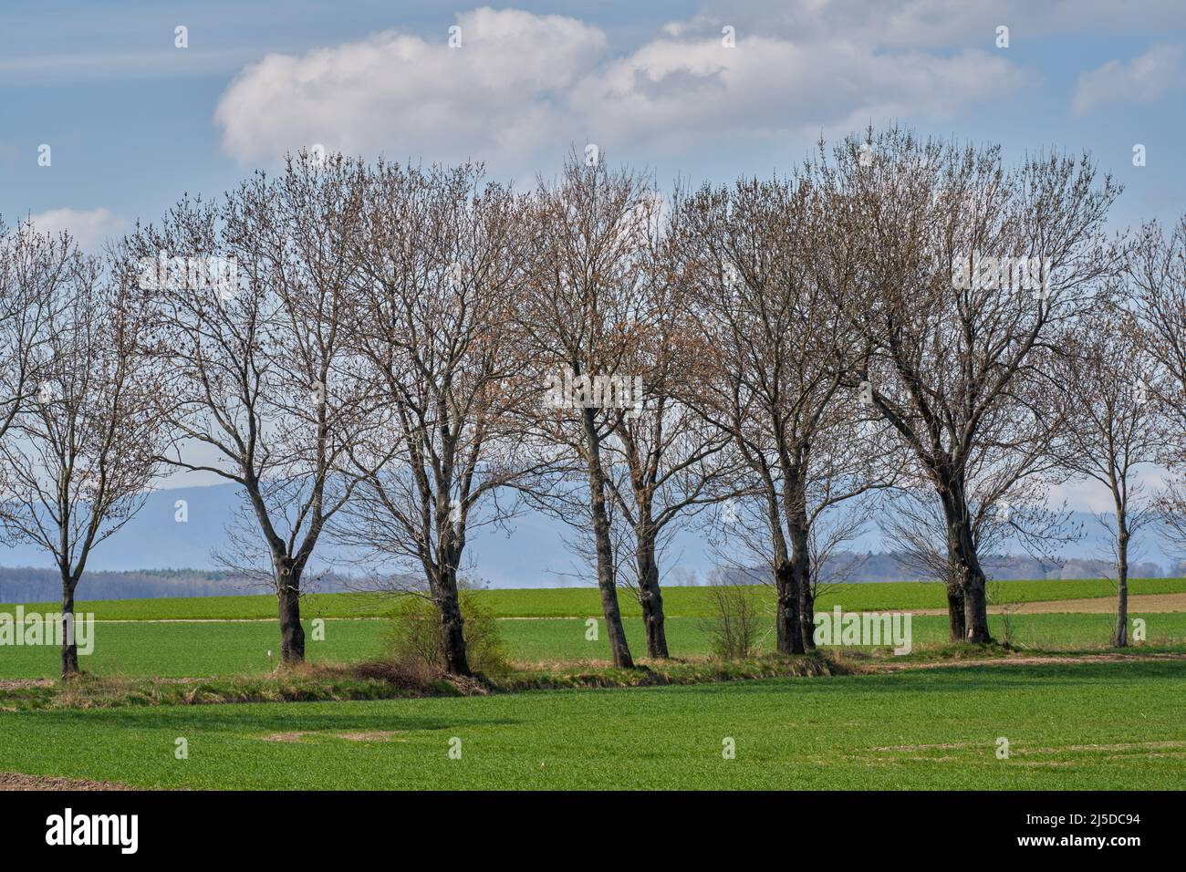 Spring rural landscape Lower Silesia Poland Stock Photo - Alamy