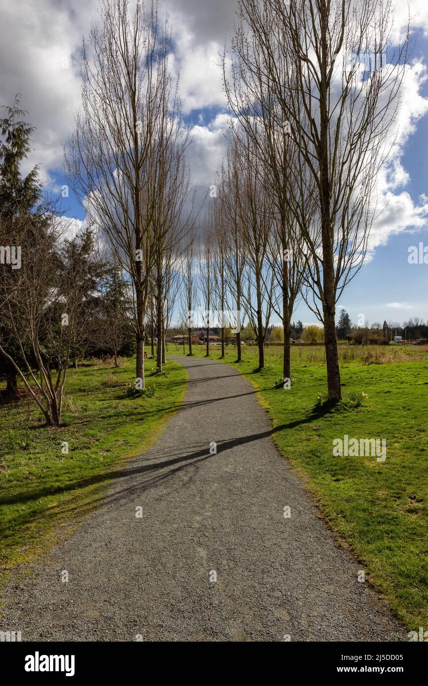 Scenic path in a park with green field and trees in a city Stock Photo ...