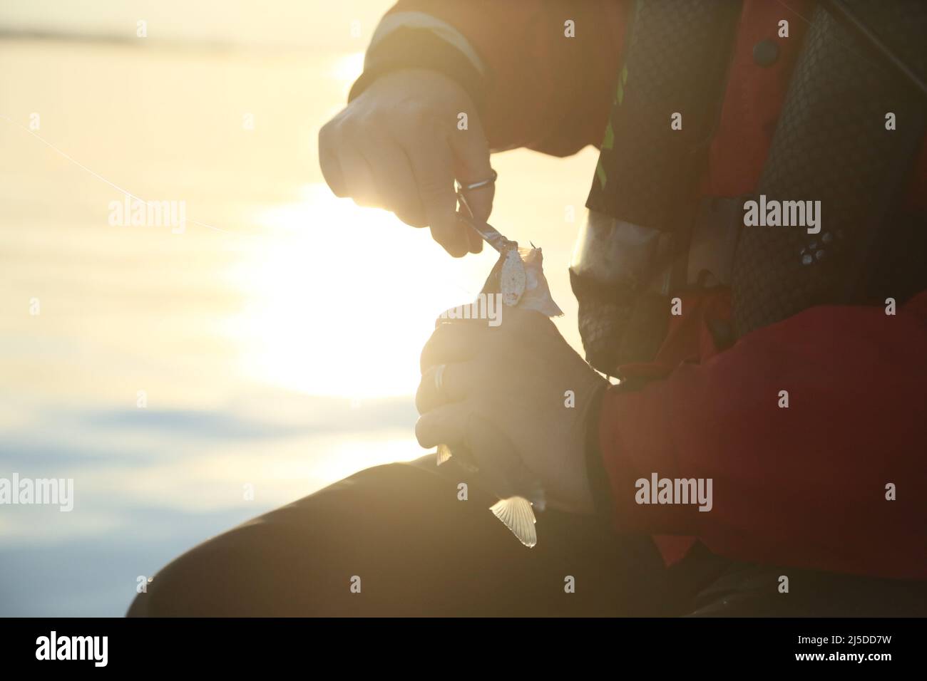 Taking the Hook Out Stock Photo - Alamy