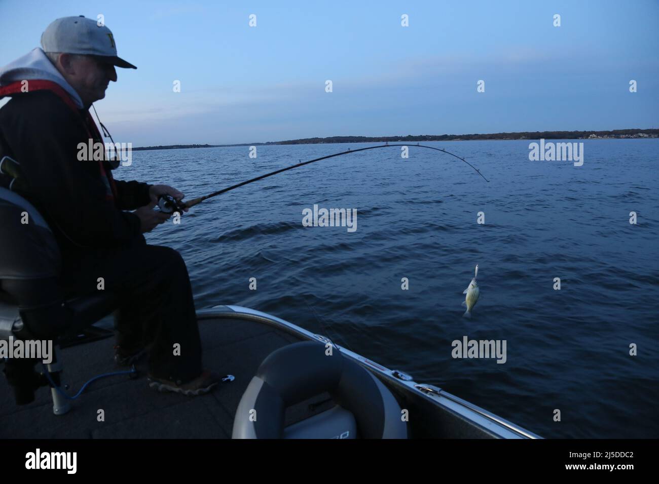 Silver bass fish hi-res stock photography and images - Alamy