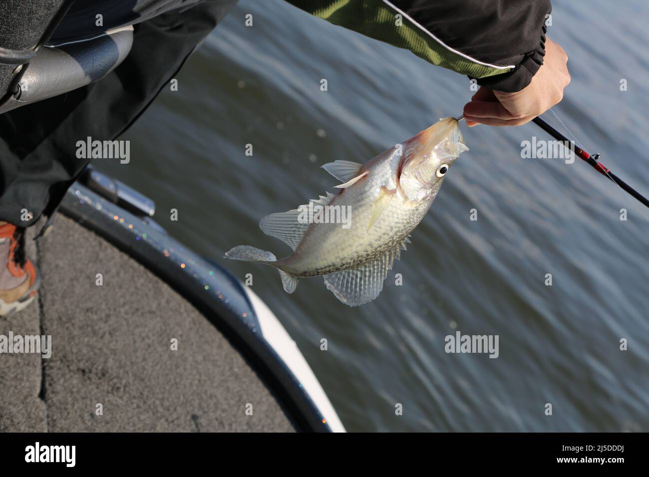 One hand on rod hi-res stock photography and images - Alamy