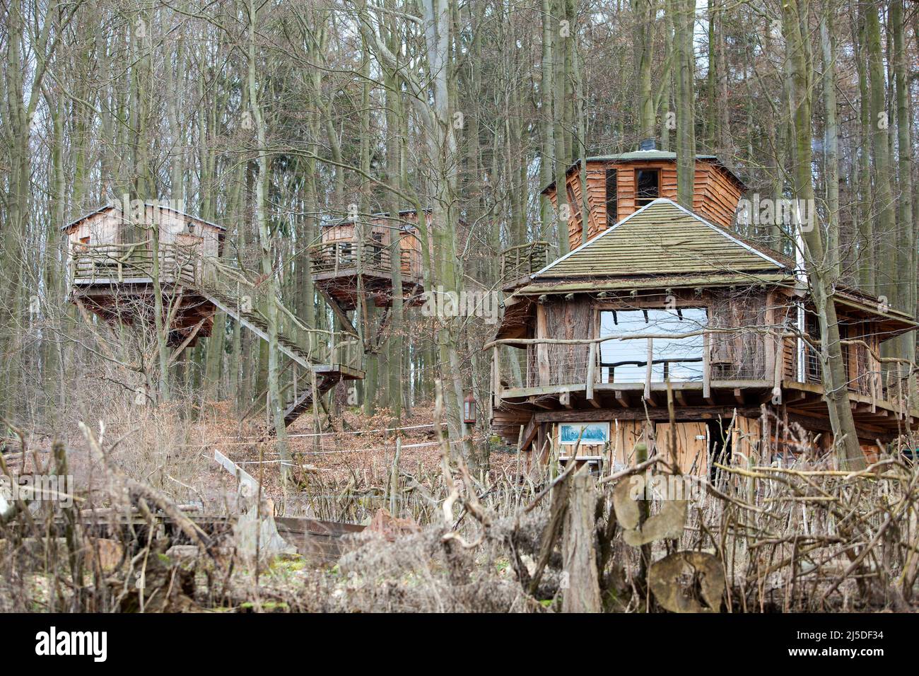 Treehouse Hotel Logo
