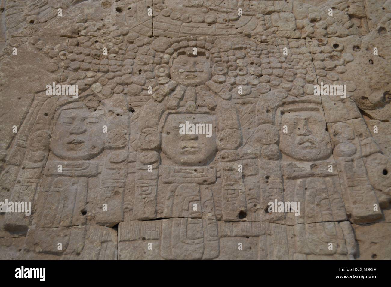 Maya Stella in Kimbell Art Museum was part of three stelae displayed in ...