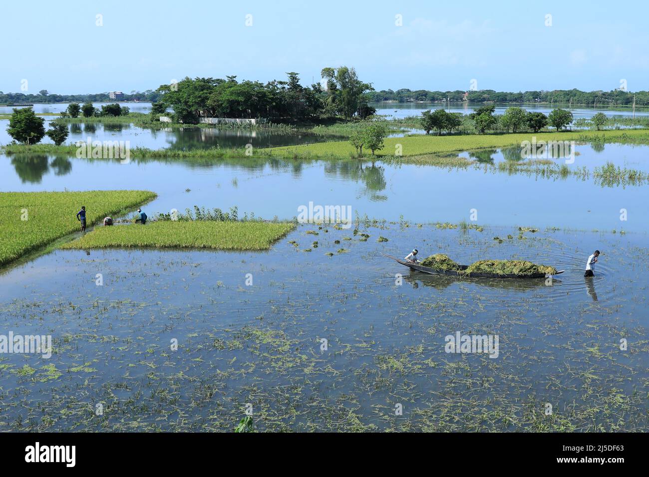 Haor agriculture hi-res stock photography and images - Alamy