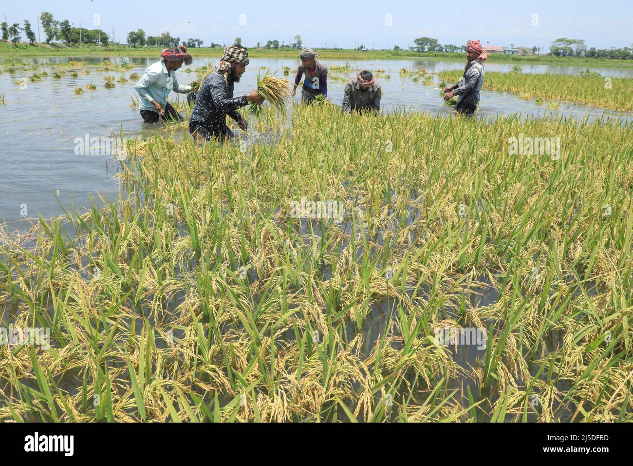 Flash flood bangladesh hi-res stock photography and images - Alamy