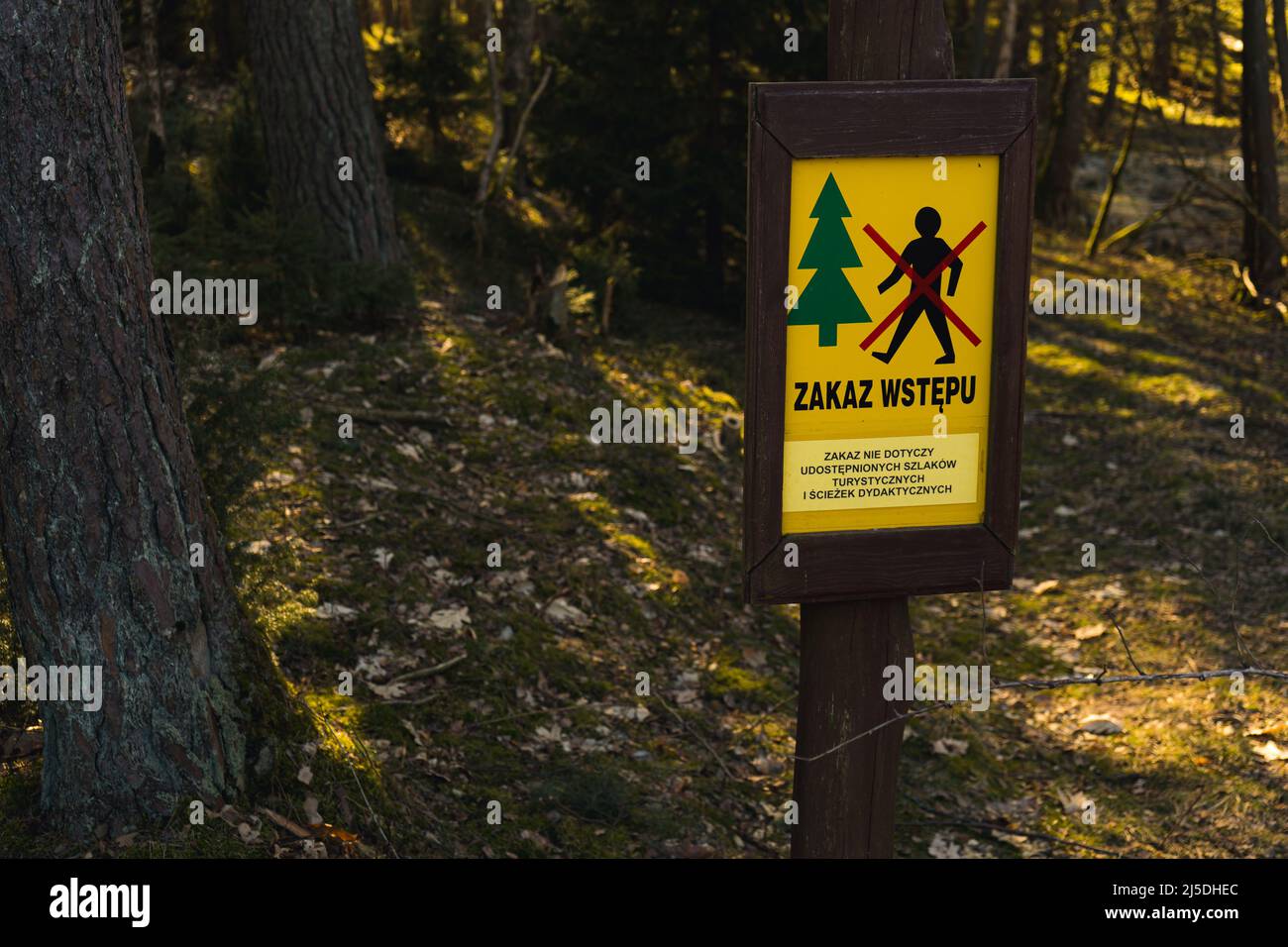 Wodden sign with written Entrance Into the Forest Prohibited, standing ...