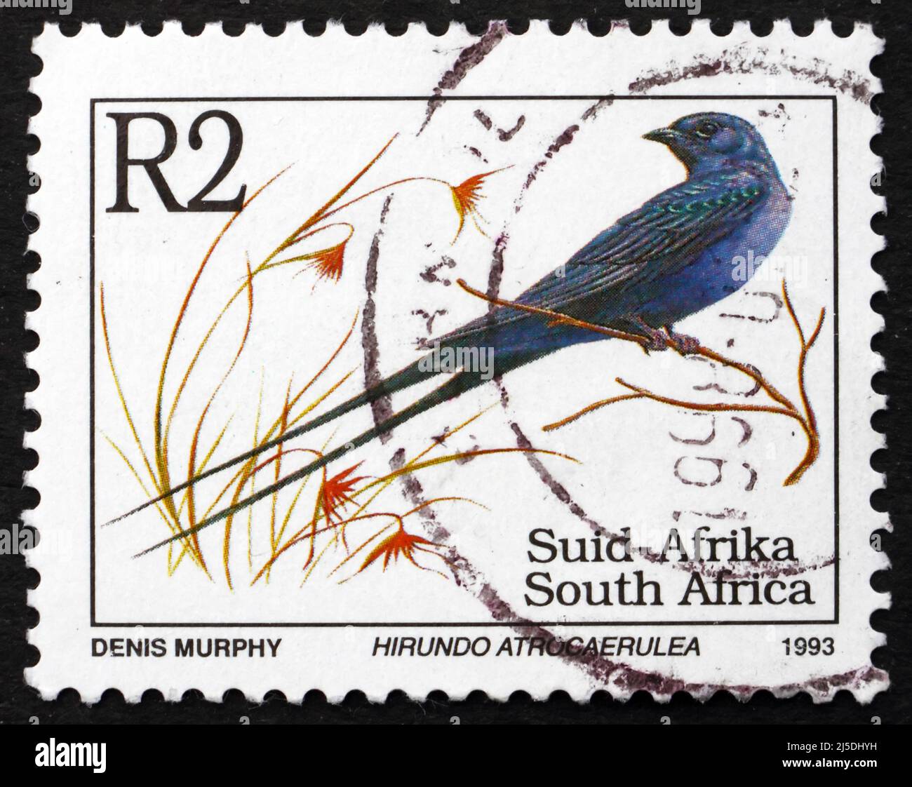 SOUTH AFRICA - CIRCA 1993: a stamp printed in South Africa shows Blue ...