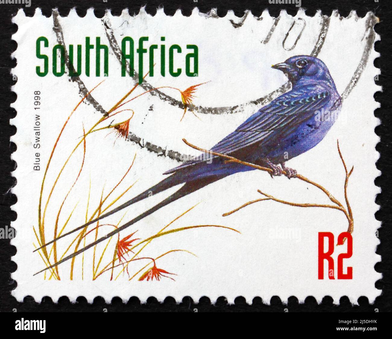 SOUTH AFRICA - CIRCA 1998: a stamp printed in South Africa shows Blue ...