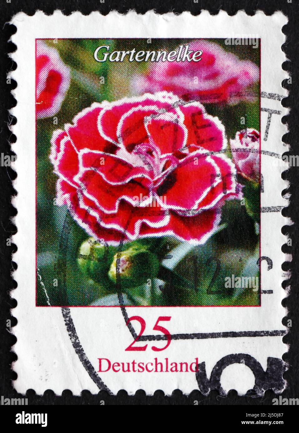 GERMANY - CIRCA 2008: a stamp printed in the Germany shows Carnation ...