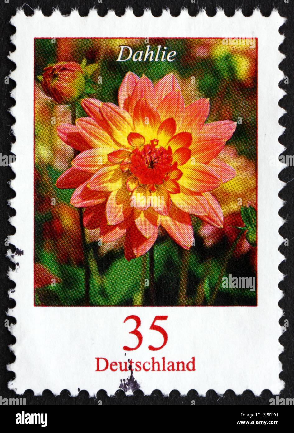 GERMANY - CIRCA 2006: a stamp printed in the Germany shows Dahlia ...
