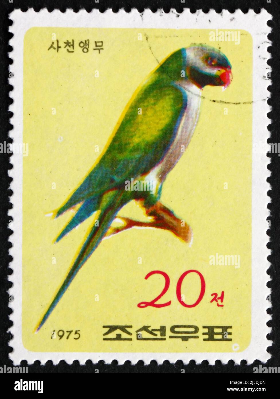 Nicobar parakeet hi-res stock photography and images - Alamy